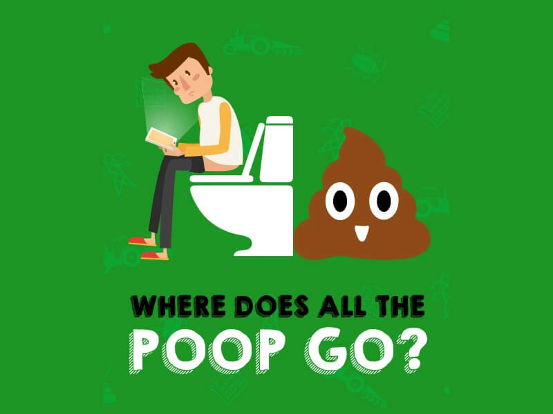 Where Does All The Poop Go! Animated Infographic